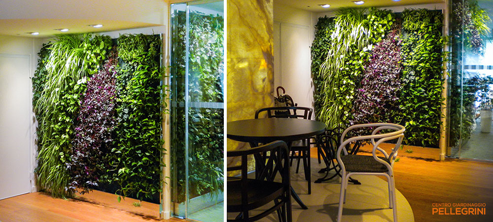 Verde verticale: una soluzione innovativa per il verde da interno